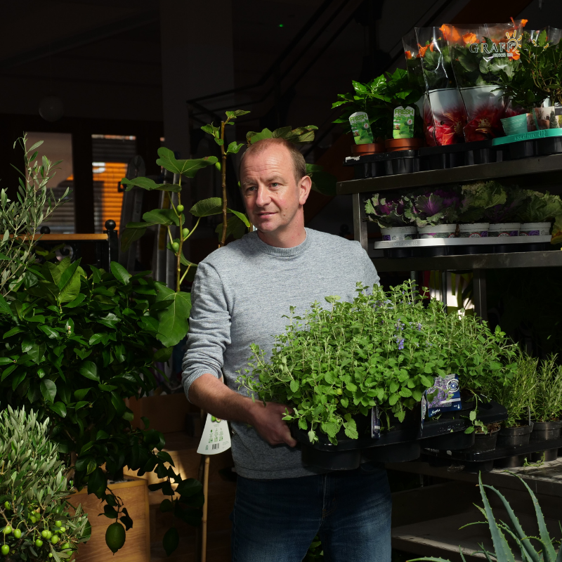 How to Boost Team Morale with Plants 🌿 – Plant Store