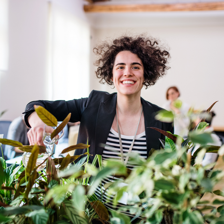 Indoor Plantscaping: 3 Creative Ideas for a Green Workspace – Plant Store