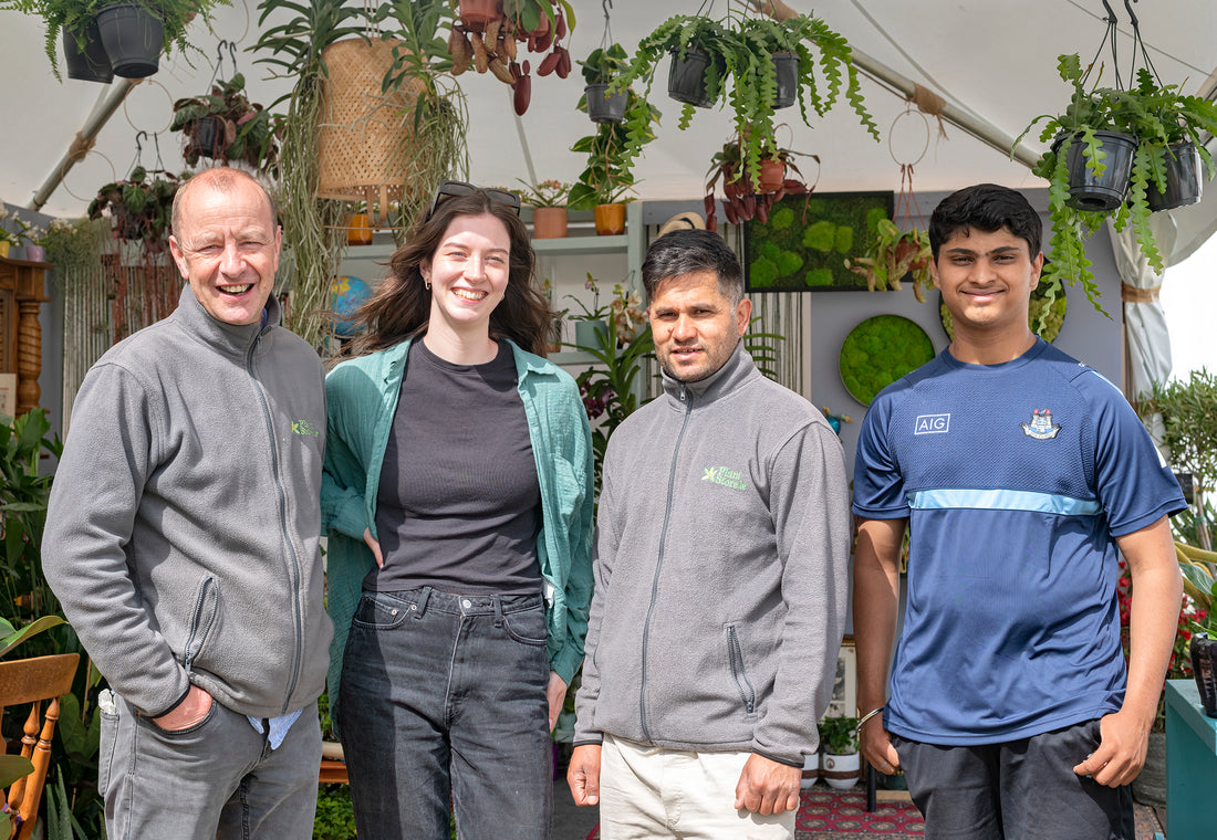 Plant Store Ireland | Home Plants - Corporate Plants - Workshops