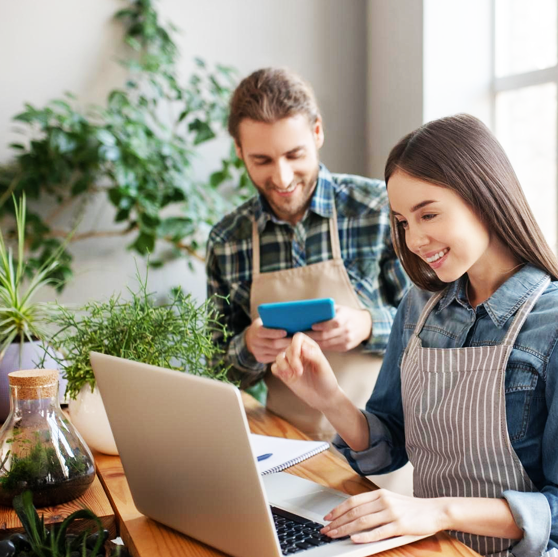 Medium Monstera deliciosa- Swiss Cheese Plant - 60cm – Plant Store