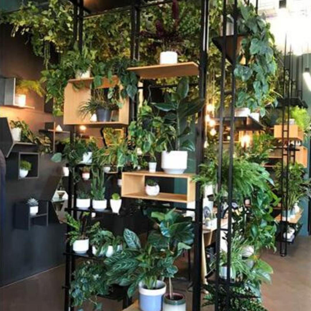 Plants Installations | Plant Store Ireland