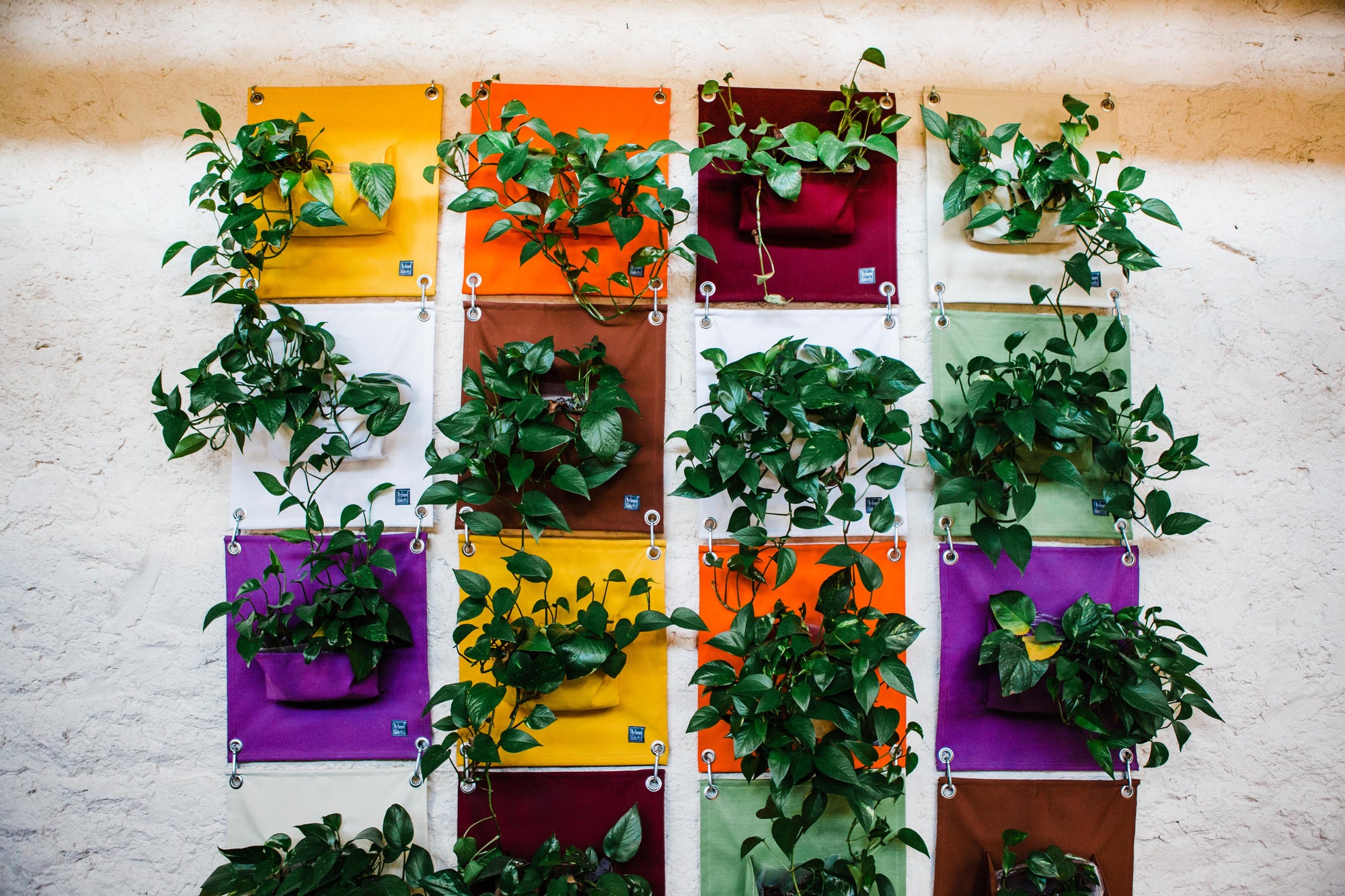 Plants Installations | Plant Store Ireland