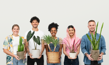 Plant Power Wellbeing Day Event – Plant Store