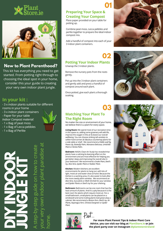 DIY Indoor Plant Jungle Kit (Large) – Plant Store