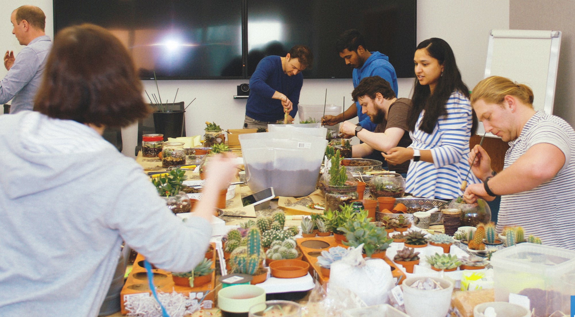 Plant Power Wellbeing Day Event – Plant Store